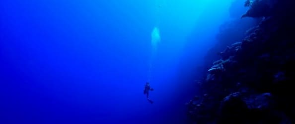 Mengenal Thalassophobia, Ketakutan Terhadap Laut yang Berlebihan ...